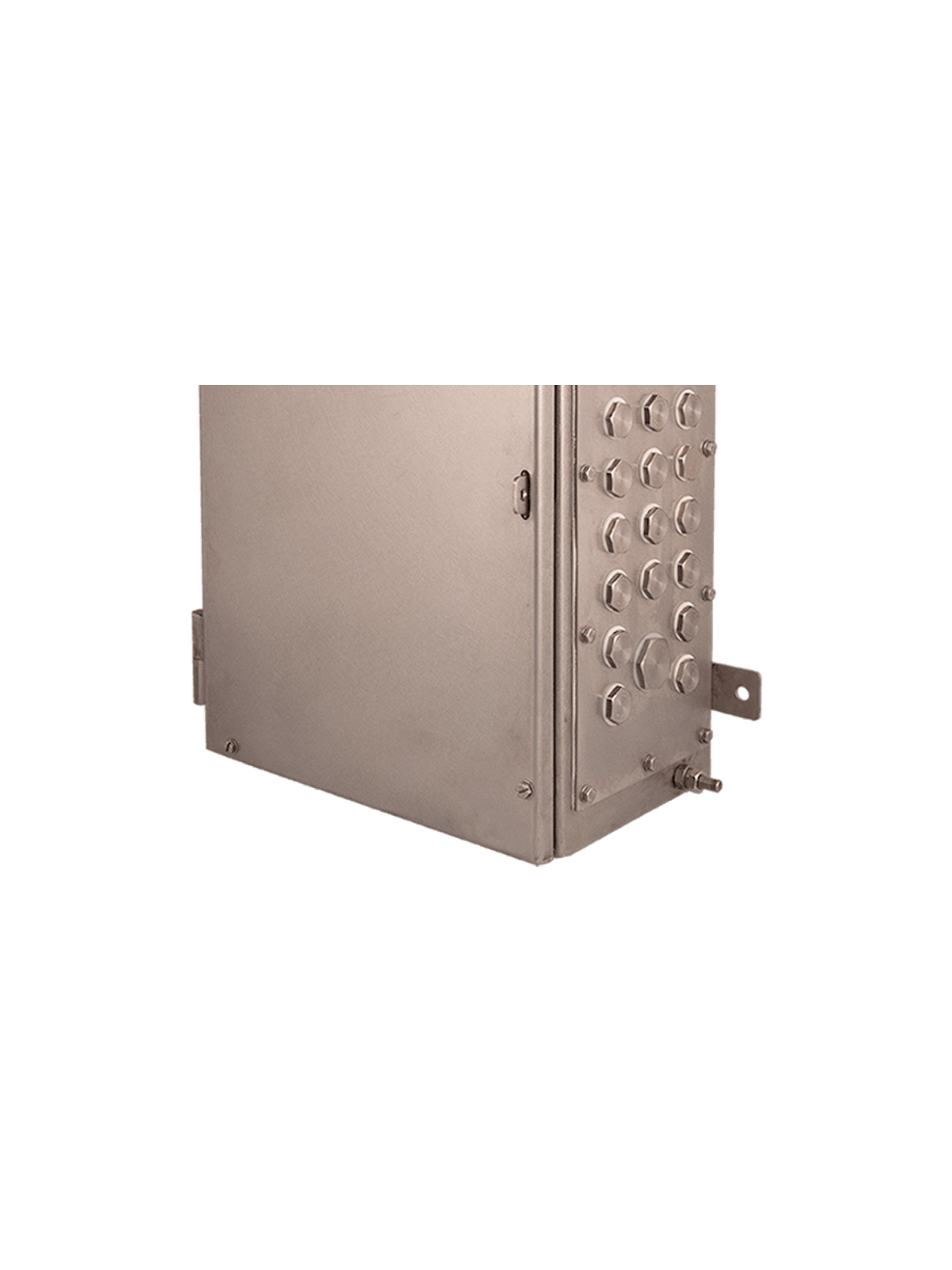 Heavy duty & customisable stainless-steel enclosure, IP66/67 | Abtech