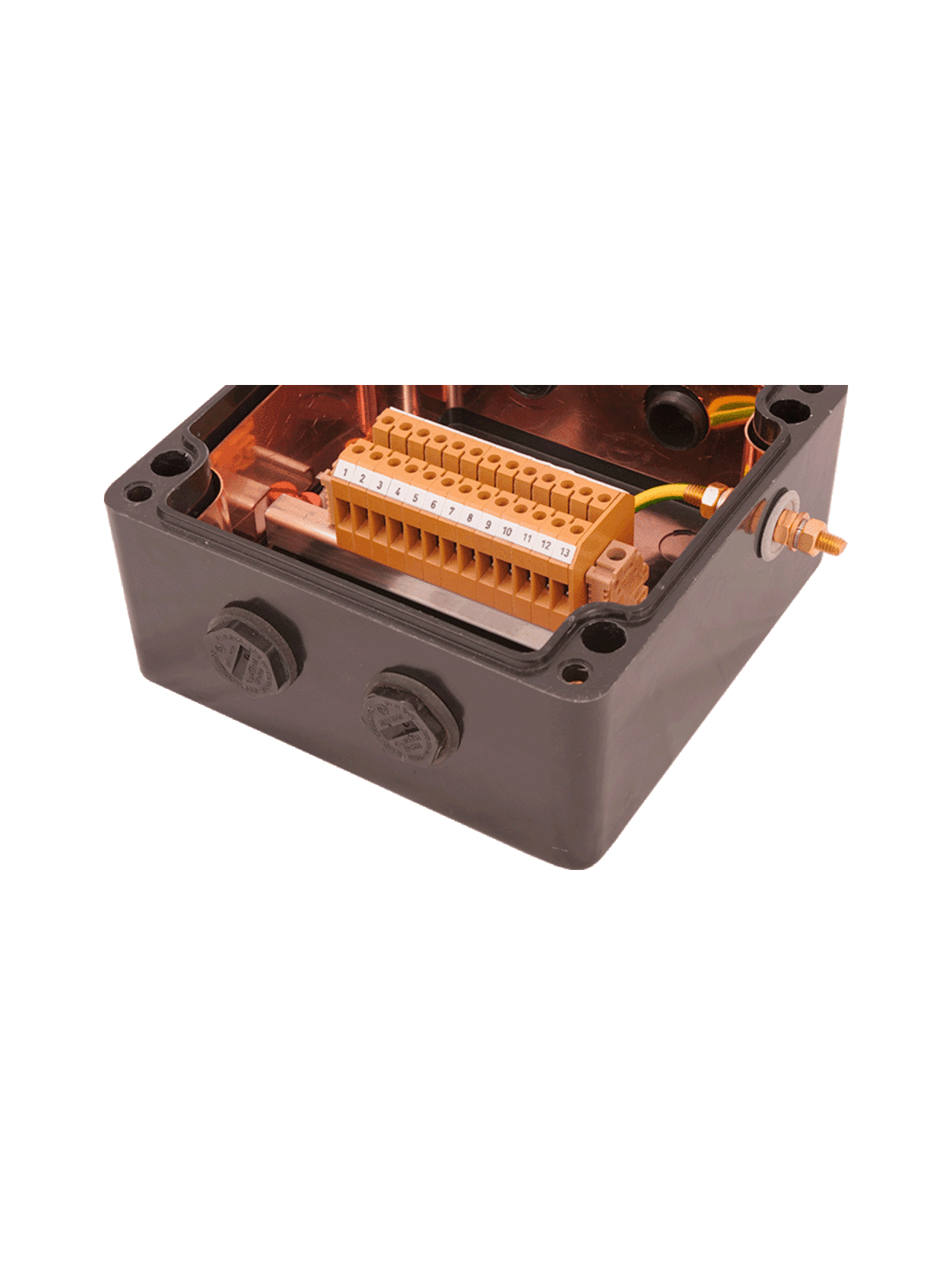 BPG junction box in GRP for hazardous areas | Abtech